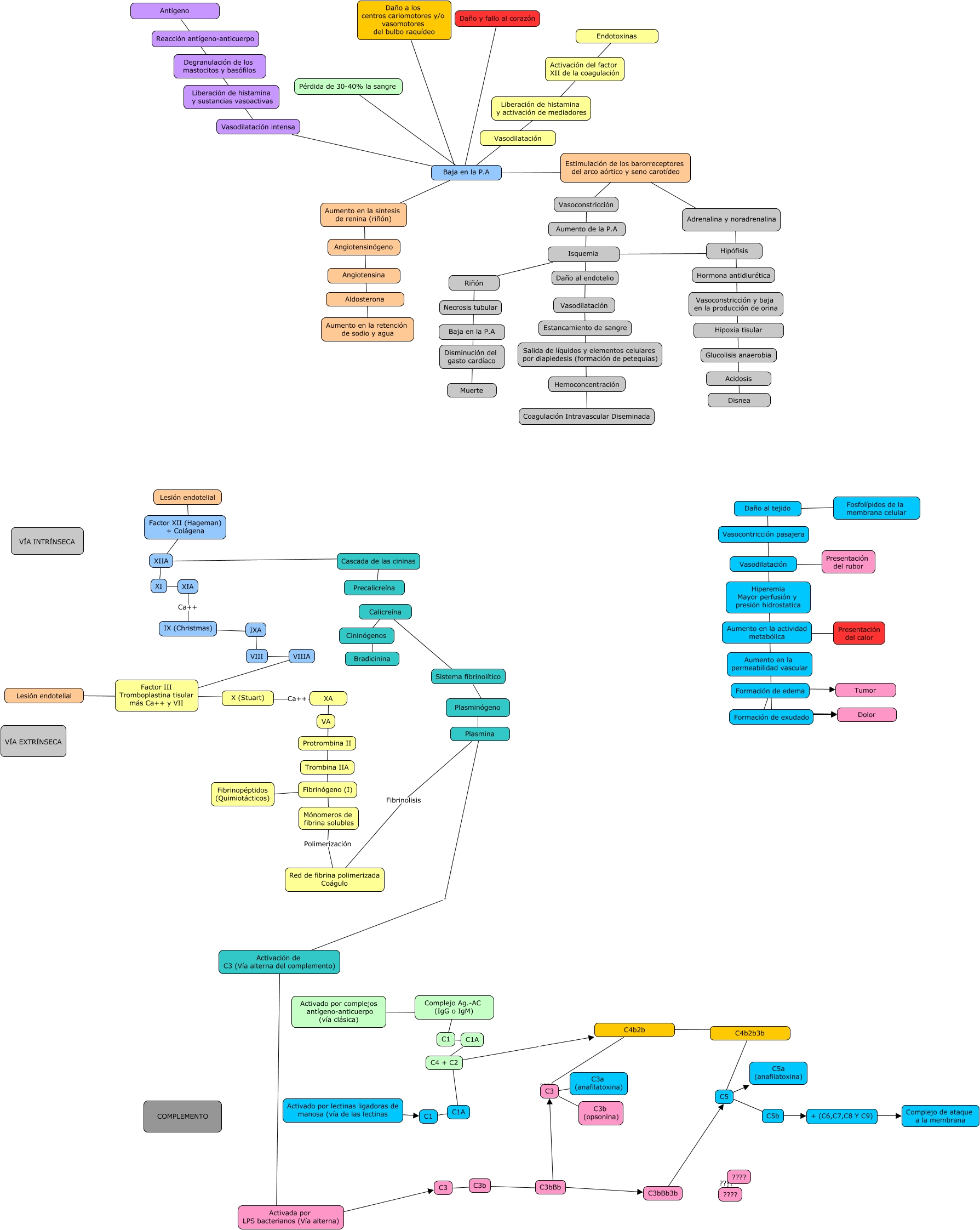 Mapa final patología 2021